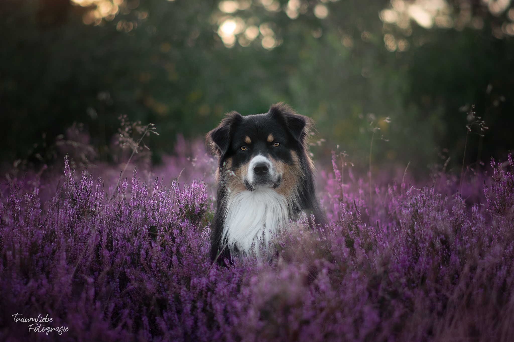 Die Granne – Tierarztpraxis im Koelle Zoo